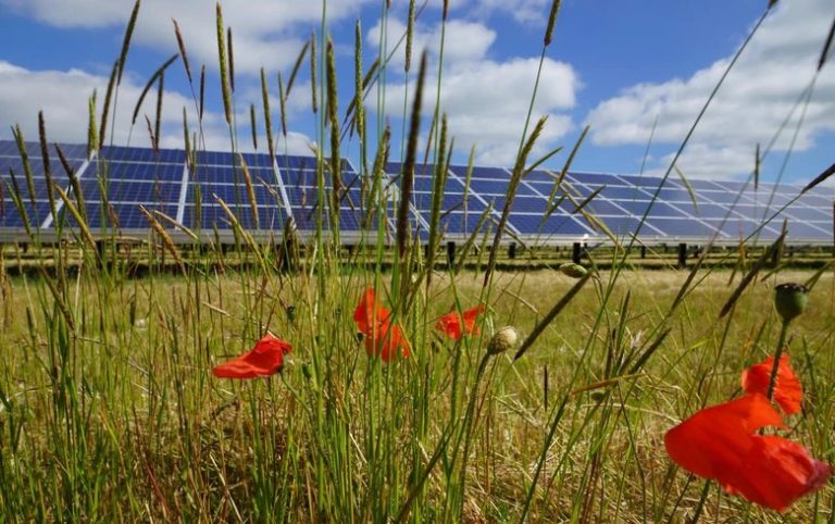 Deriva Energy buys 140-MW solar project from Juwi in Colorado - JUWI Inc.